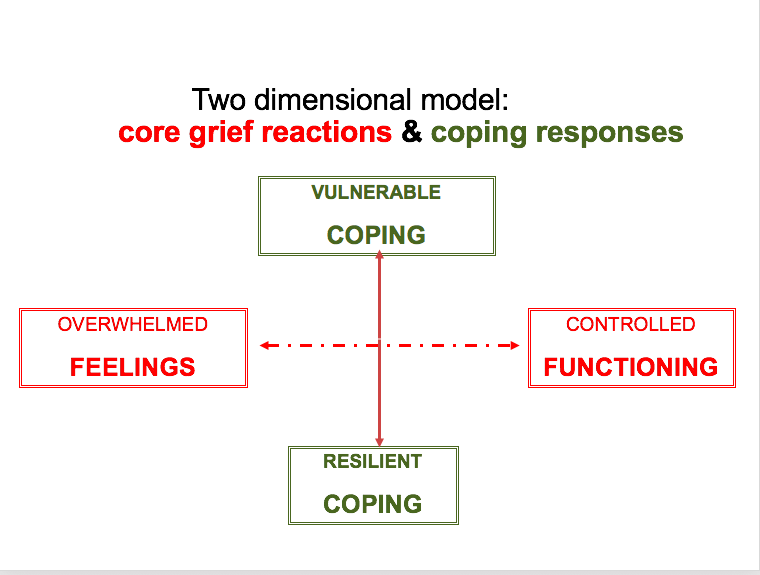 Two dimensional model – Mapping Grief